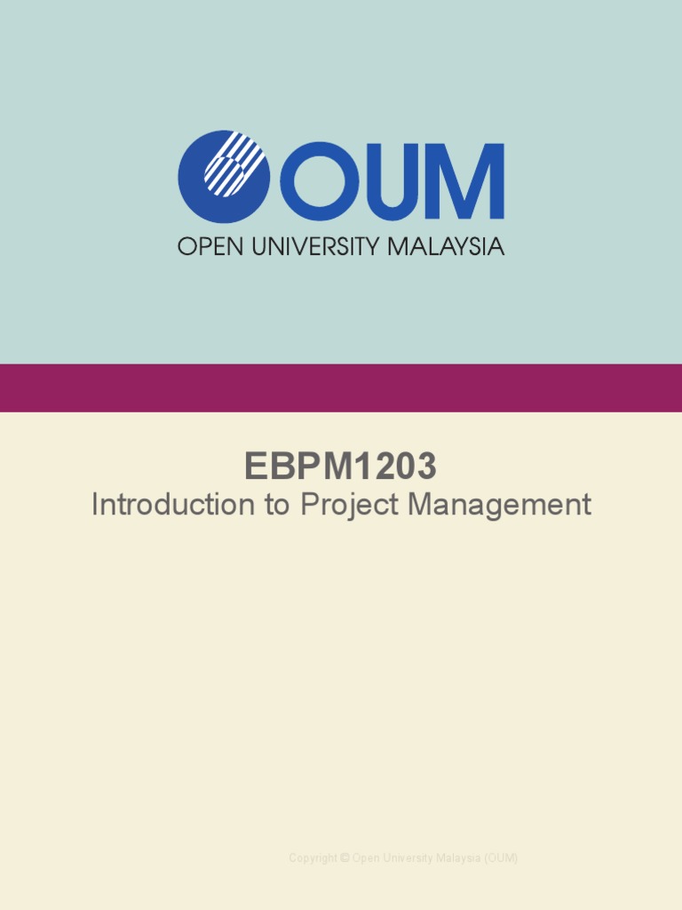 Introduction To Project Management Pdf Pdf Project Management Risk