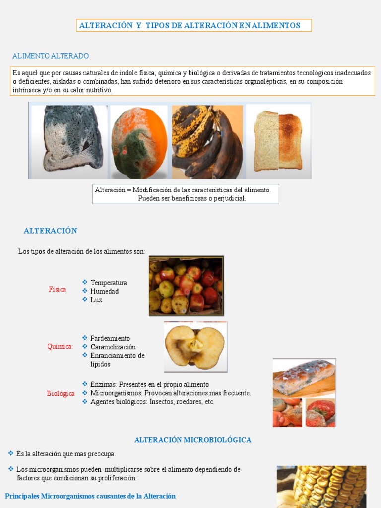 Alteración y Tipos de Alteración en Alimentos | PDF | Alimentos | Hongo