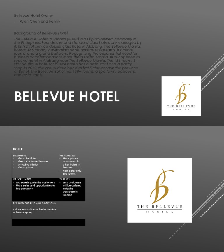 SWOT Bellevue | PDF