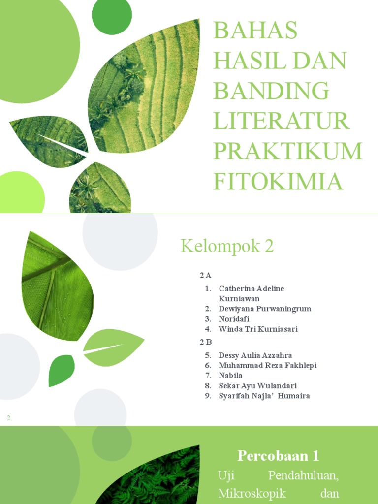 Kelompok 2 Fitokimia | PDF
