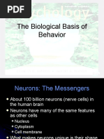 Coordination and Response - IGCSE Biology Notes (2020) | PDF | Synapse ...