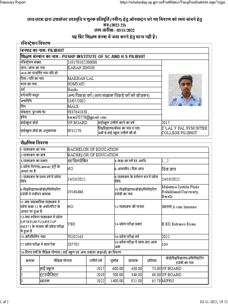 Summary Report B.ed Karan | PDF