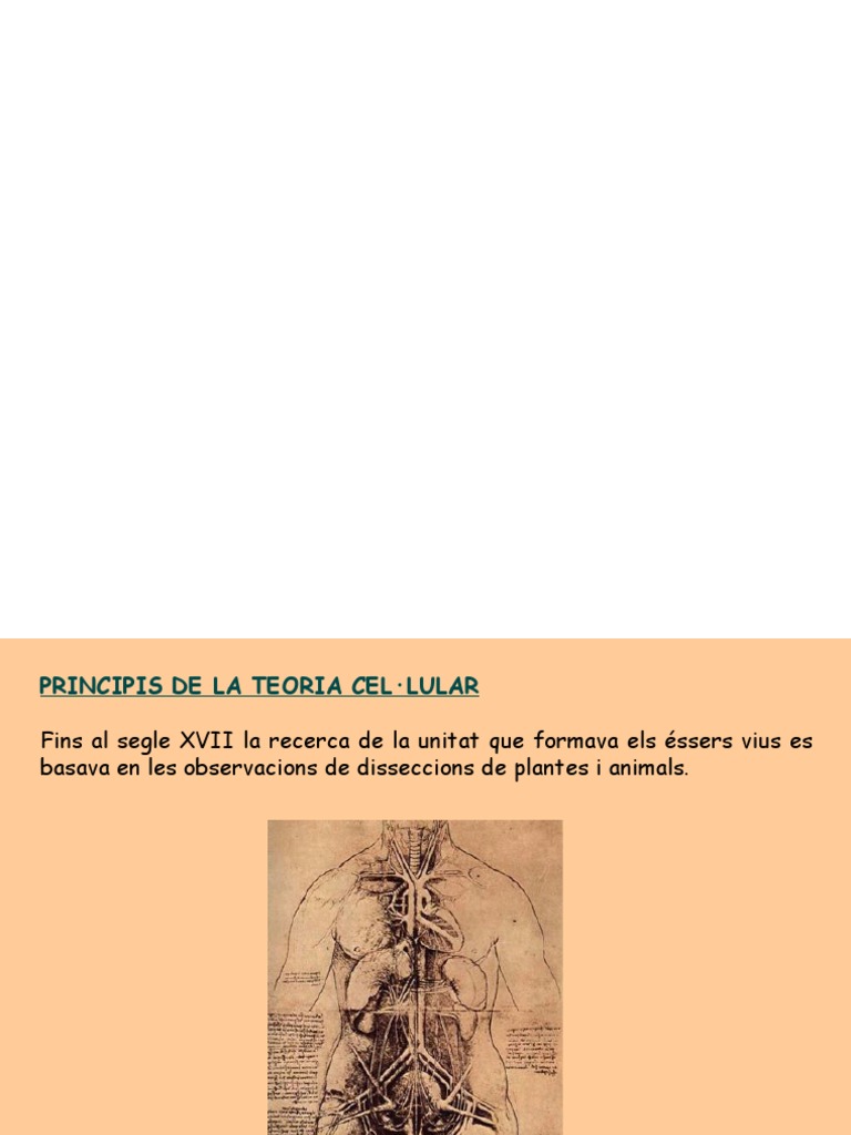 La Teoria Cel Lular | PDF