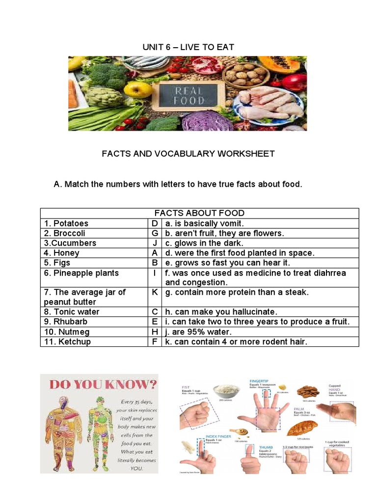 Food Vocabulary and Facts Worksheet | PDF | Taste | Plants