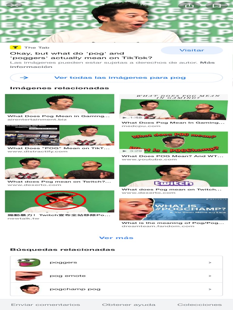 Pog - Buscar Con Google PDF | PDF