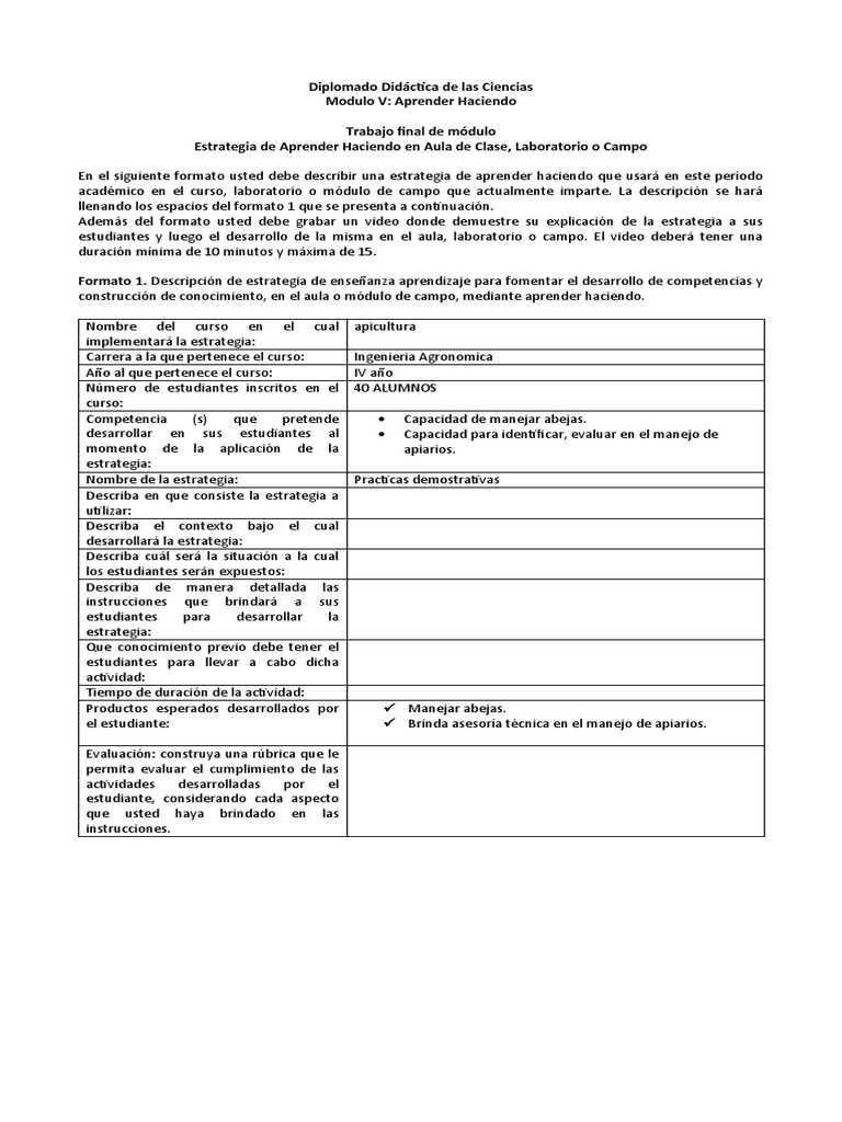 Tarea Final Módulo V Aprender Haciendo | PDF