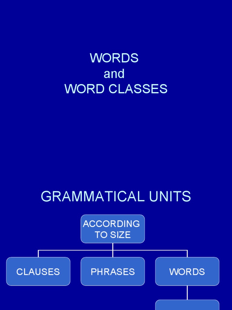 Word Types | PDF | Word | Morphology (Linguistics)