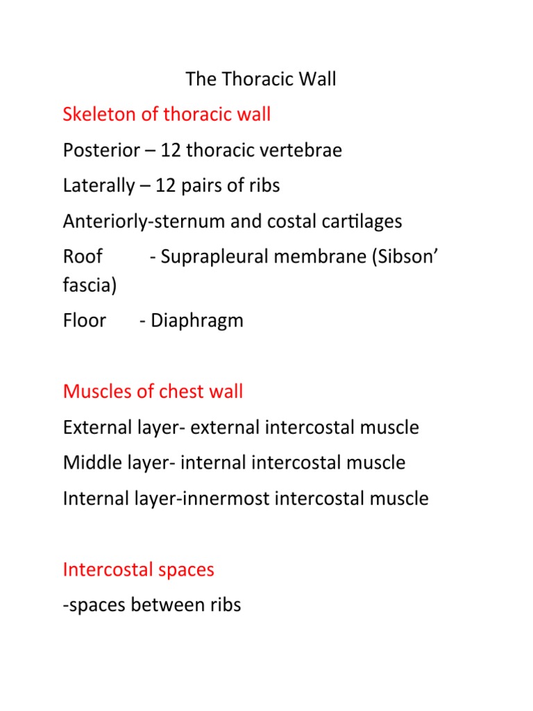 The Thoracic Wall | PDF