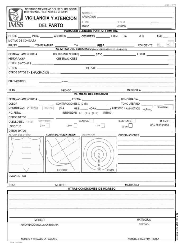 FORMATO Partograma | PDF | Parto | El embarazo