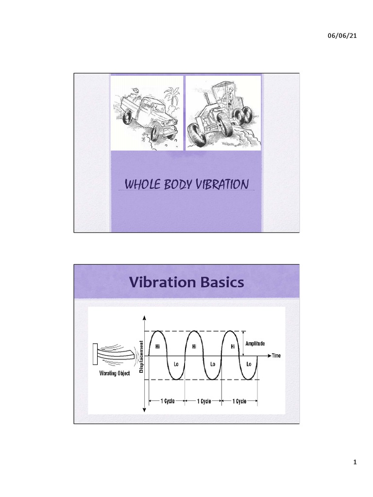 09-Whole Body Vibration | PDF