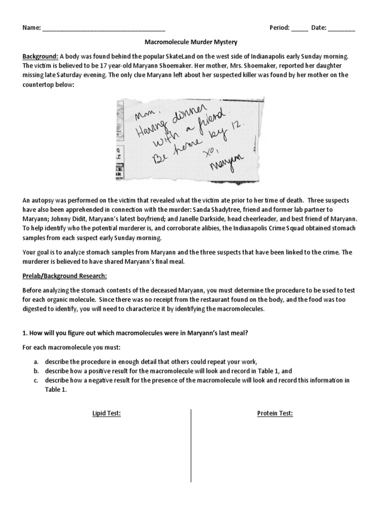 Macromolecule Murder Mystery Analysis | PDF | Starch | Hypothesis