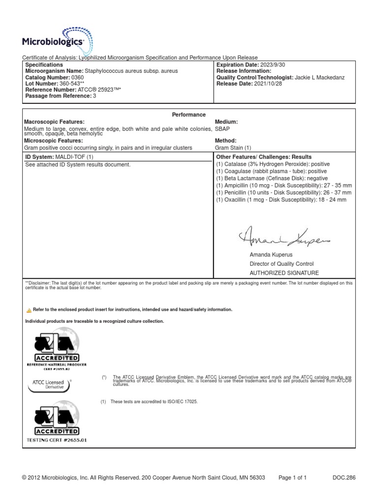Staphylococcus Aureus ATCC 25923 | Download Free PDF | Staphylococcus ...