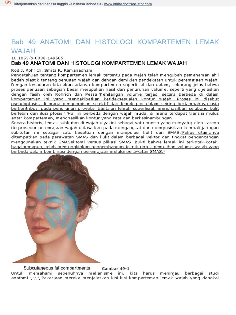 Chapter 49 ANATOMY AND HISTOLOGY OF THE FAT COMPARTMENTS OF THE FACE ...