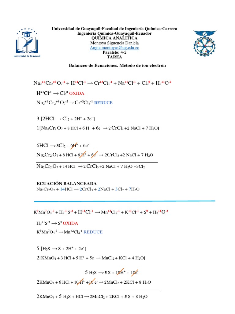 Ejercicios Metodo Ion Electron PDF | PDF | Redox | Ingeniería Química