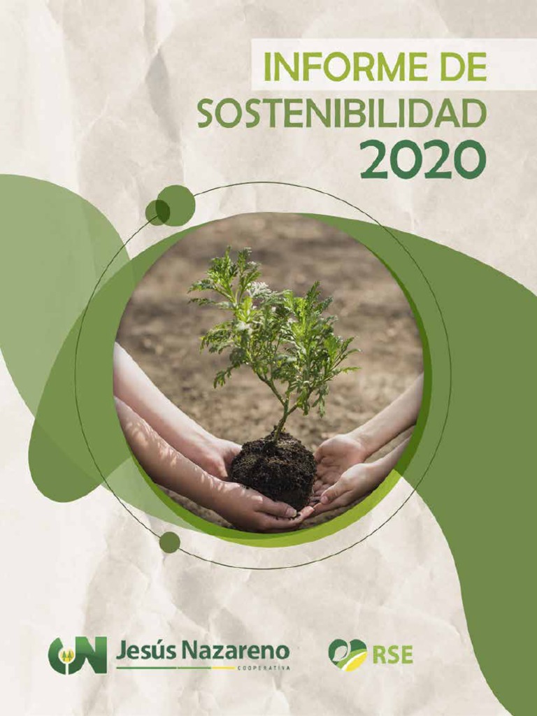 Informe Rse 2020 | PDF | Responsabilidad social corporativa | Capital ...