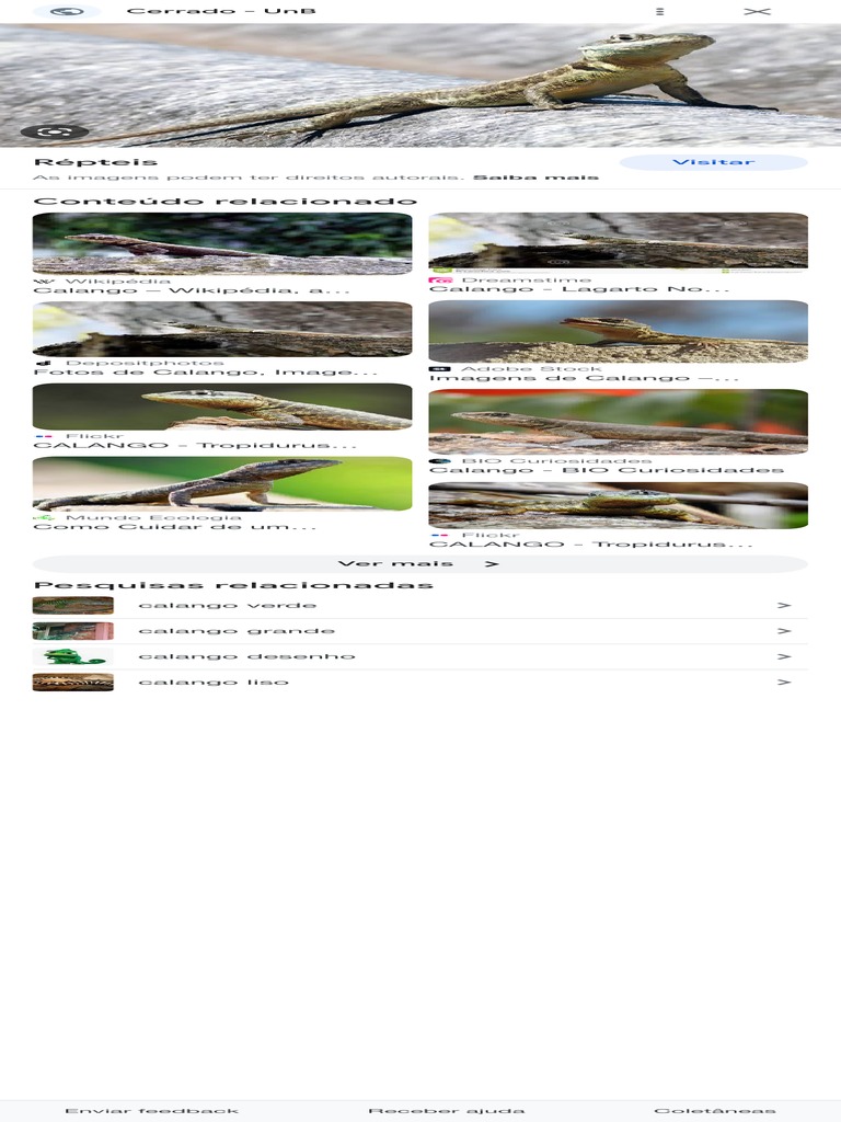 Largato Lango Lango - Pesquisa Google PDF | PDF | Filosofia