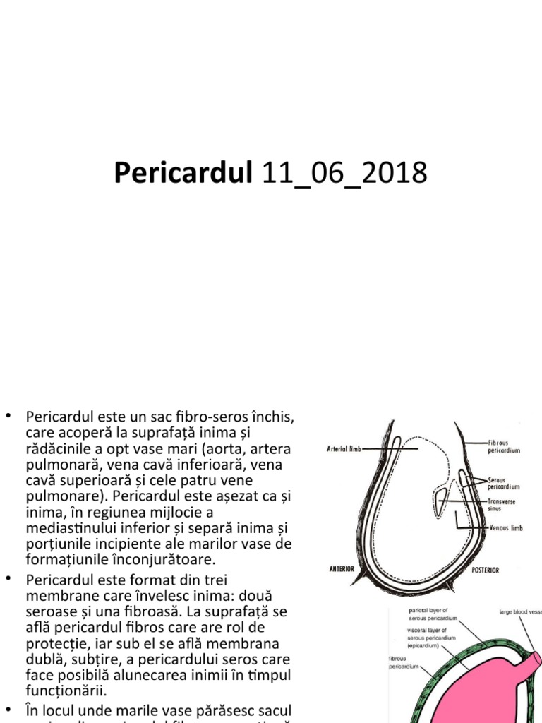 6 Pericardul | PDF