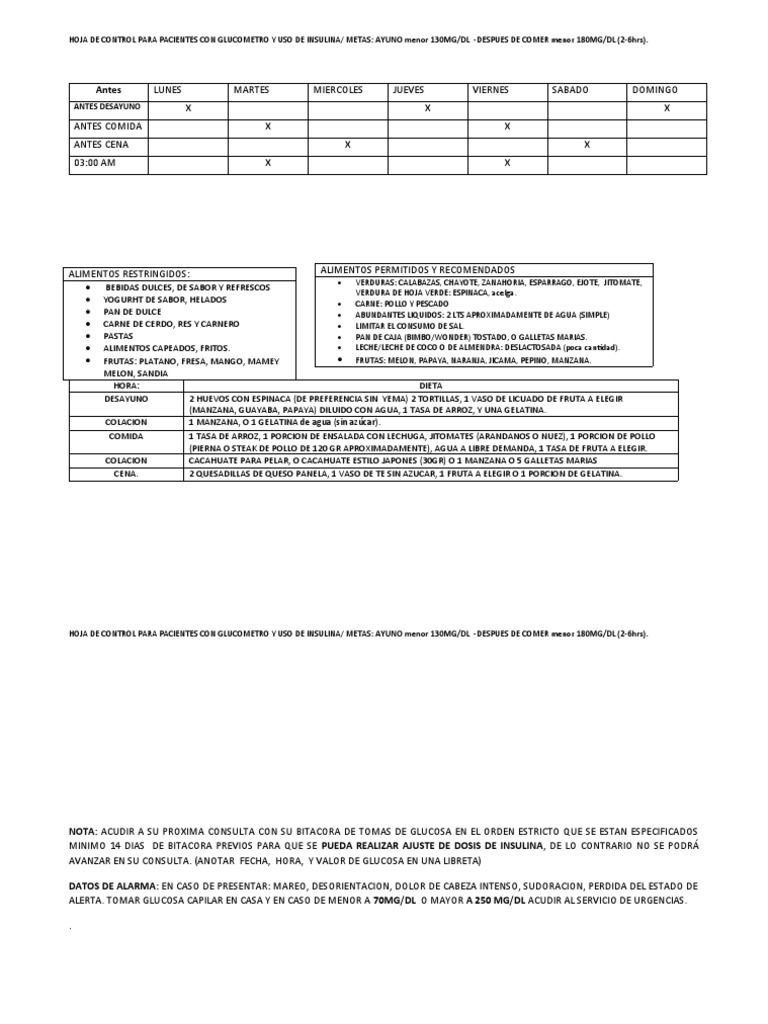 HOJA CONTROL GLUCOSA para Pacientes Con Insulina | PDF | Alimentos | Cocina