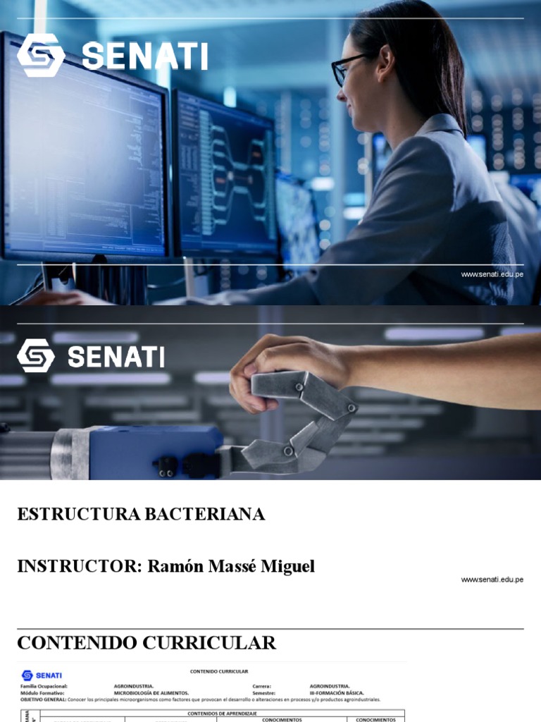 Sem 03 - Estructura Bacteriana 2020 | PDF | Las bacterias | Biología Celular)