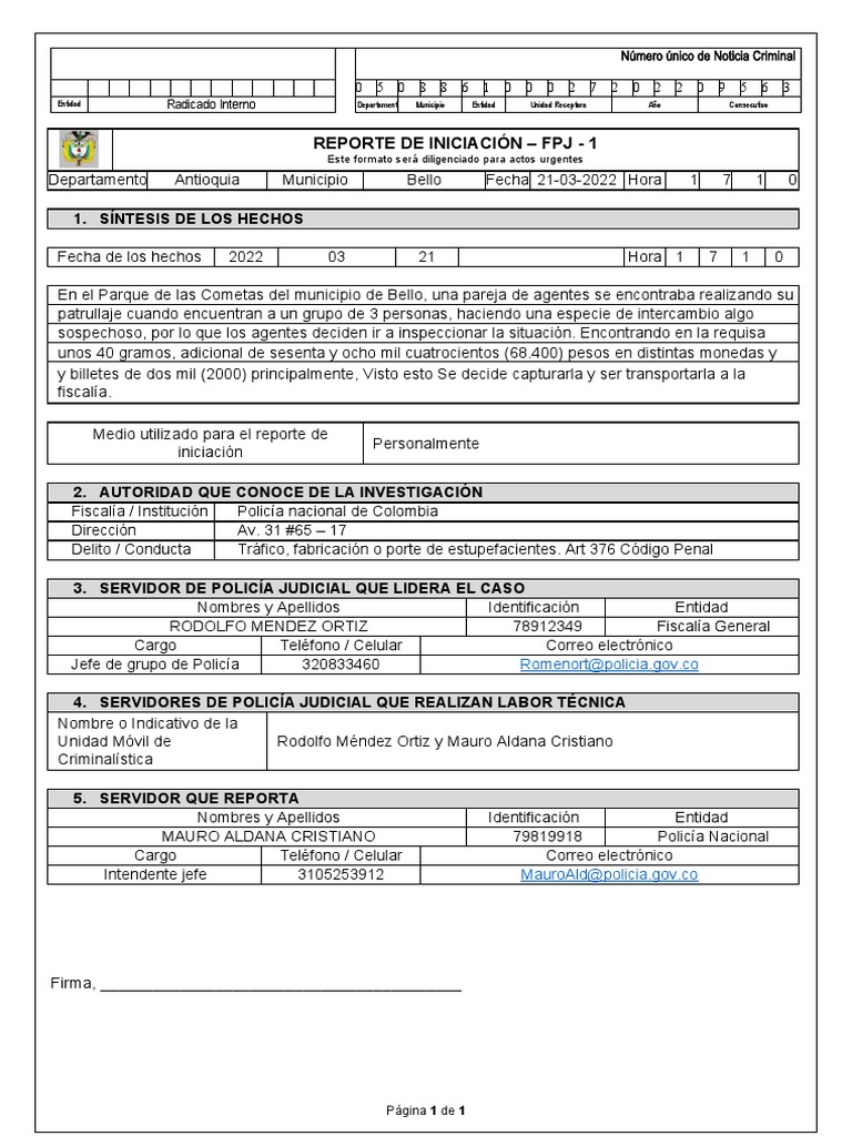 FPJ 1 Reporte de Iniciación | PDF | Policía | Justicia
