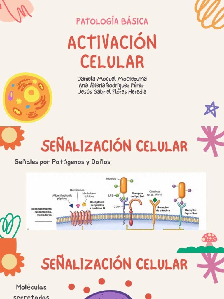 Activación Celular - E4 LabPat Lunes | PDF
