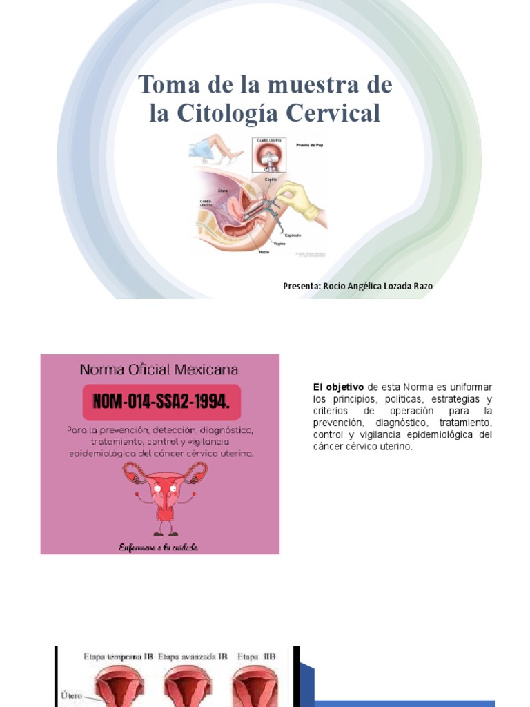 Guía de Citología Cervical | PDF | Cáncer de cuello uterino | Medicina CLINICA