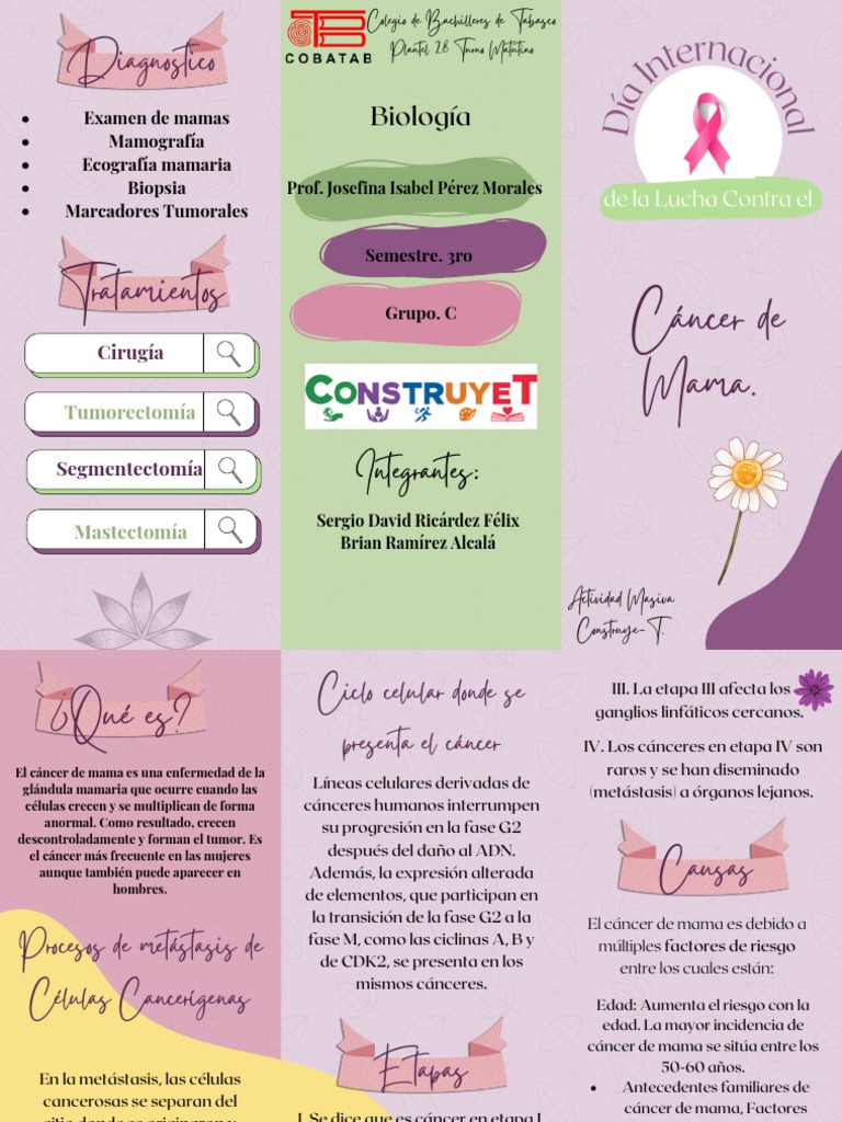 Triptico Del Cáncer de Mamá | PDF | Cáncer de mama | Cáncer