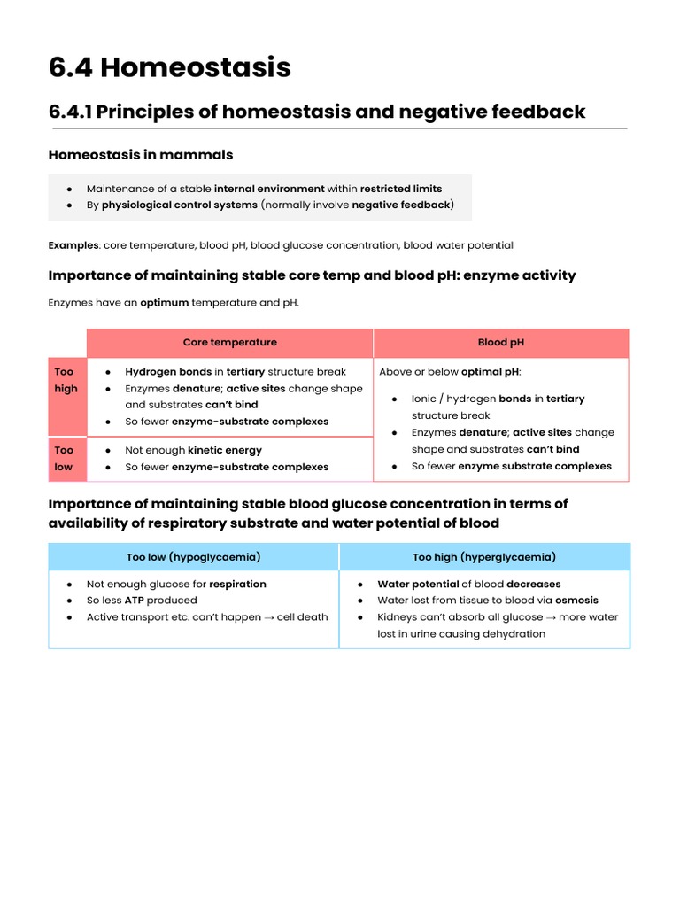 FULL Homeostasis Notes PDF | PDF | Glucose | Animal Anatomy