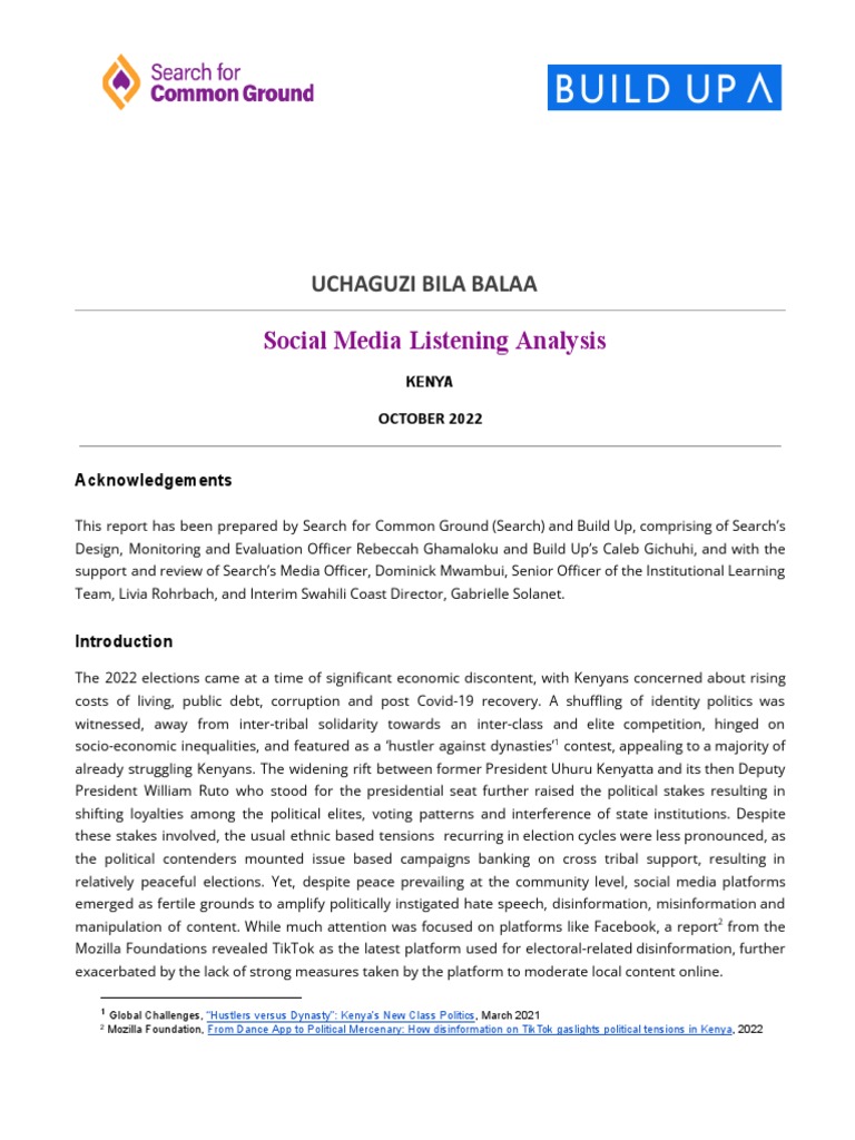 Social-Media-Listening-Analysis - Final en | PDF | Social Media | Popular Culture & Media Studies