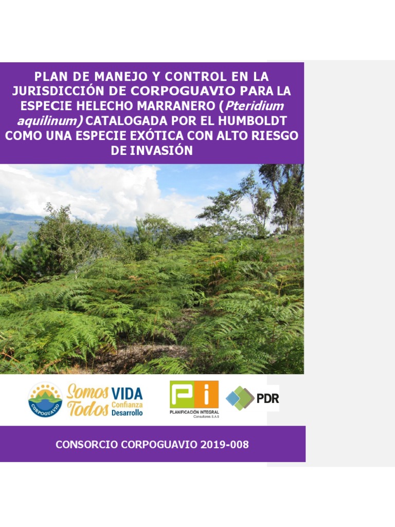 PMC Helecho Marranero - V2 | PDF | Especies invasivas | Ecología