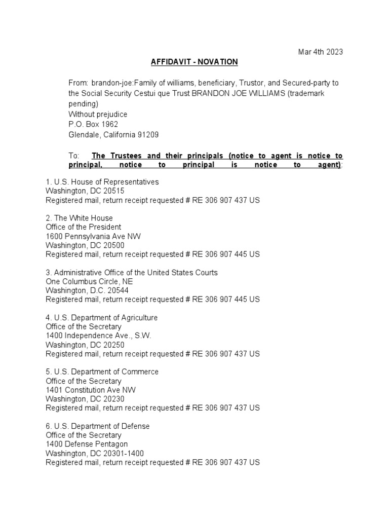 Affidavit Novation - Cucumber's Law | PDF | Debt