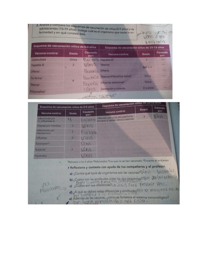 JAVL Act06 S6 EPS U2 | PDF | Sistema inmune | Vacunas