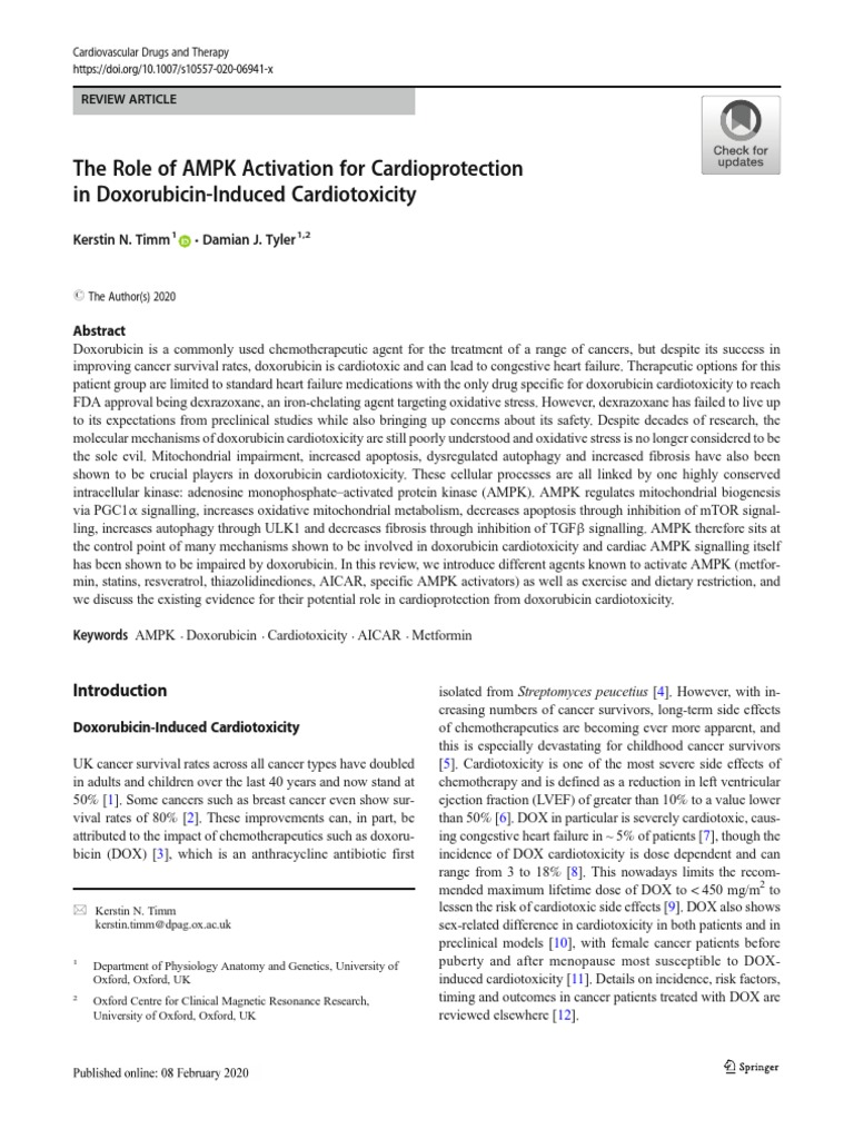10.1007@s10557 020 06941 X | PDF | Autophagy | Cellular Processes