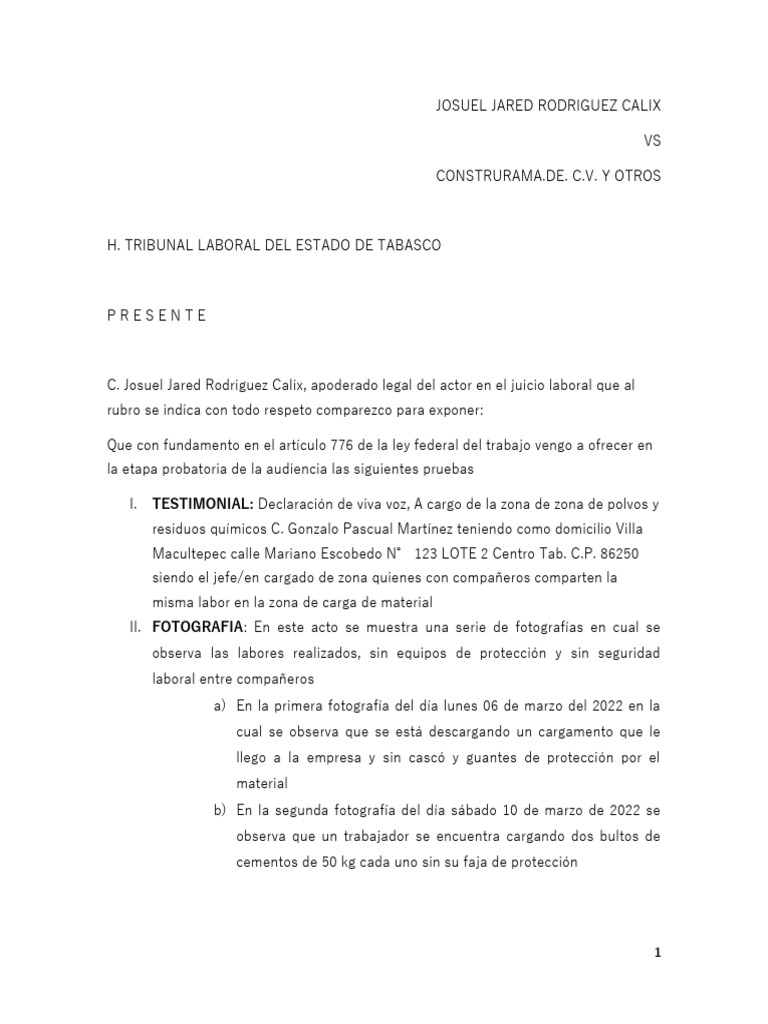 Escrito de Pruebas | PDF