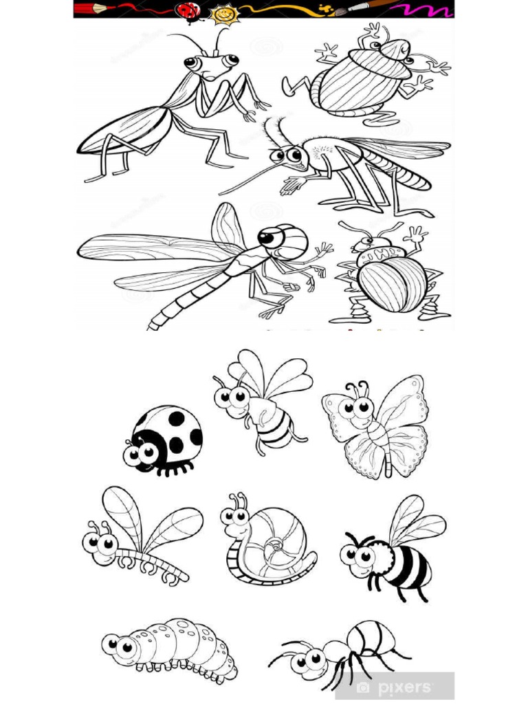 Animales Que Encontramos en Las Plantas | PDF