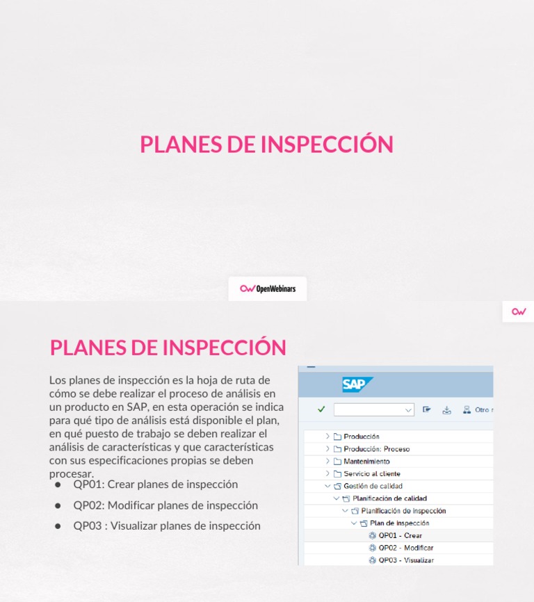 Planes de Inspección SAP QM | PDF