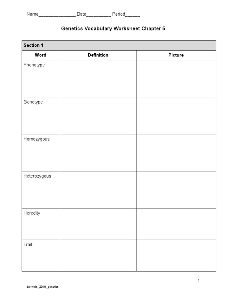 Genetics Vocabulary Worksheet | PDF | Dominance (Genetics) | Genetics