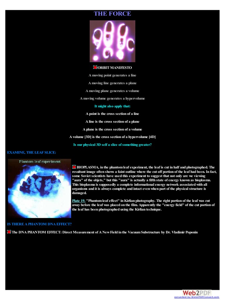 Exercise 4 - THE FORCE | PDF | Physics | Science