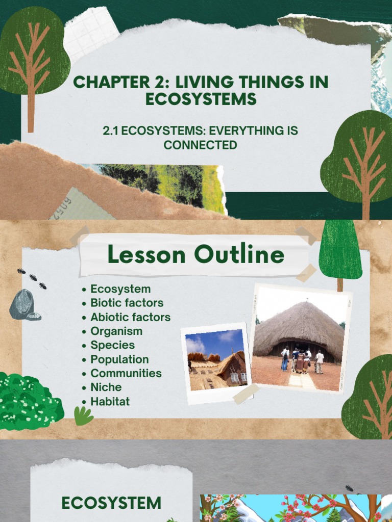 Ecosystem Dynamics: Habitats and Interactions | PDF | Ecosystem ...