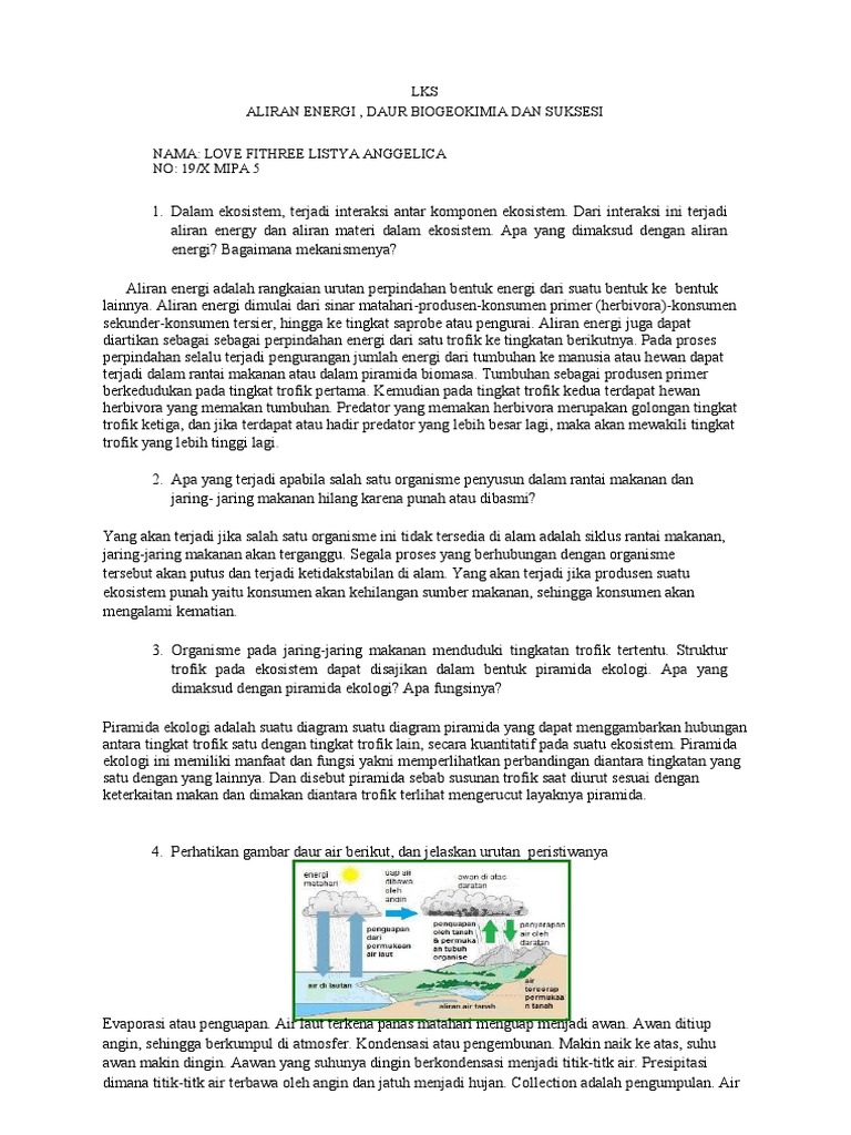 Lks Aliran Energi Daur Biogeokimia Dan Suksesi Pdf
