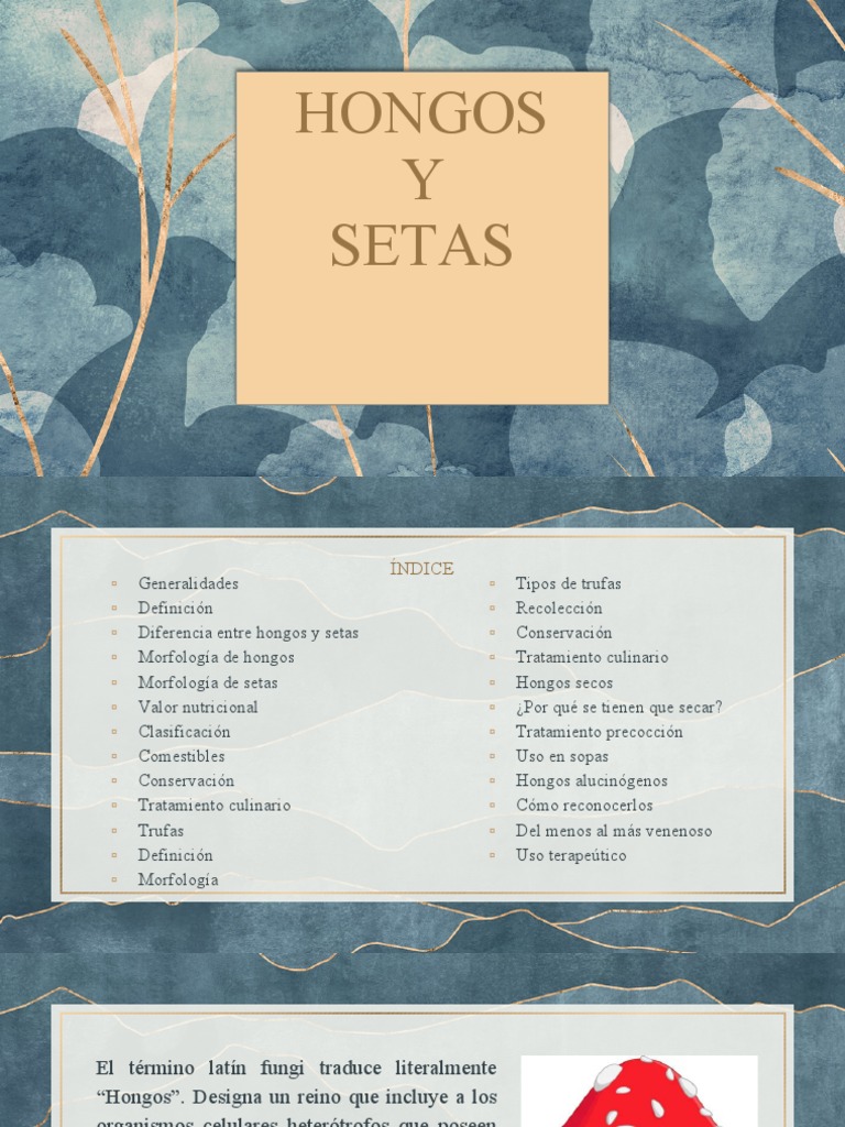 Homgos y Setas PDF | PDF | Hongo | Seta