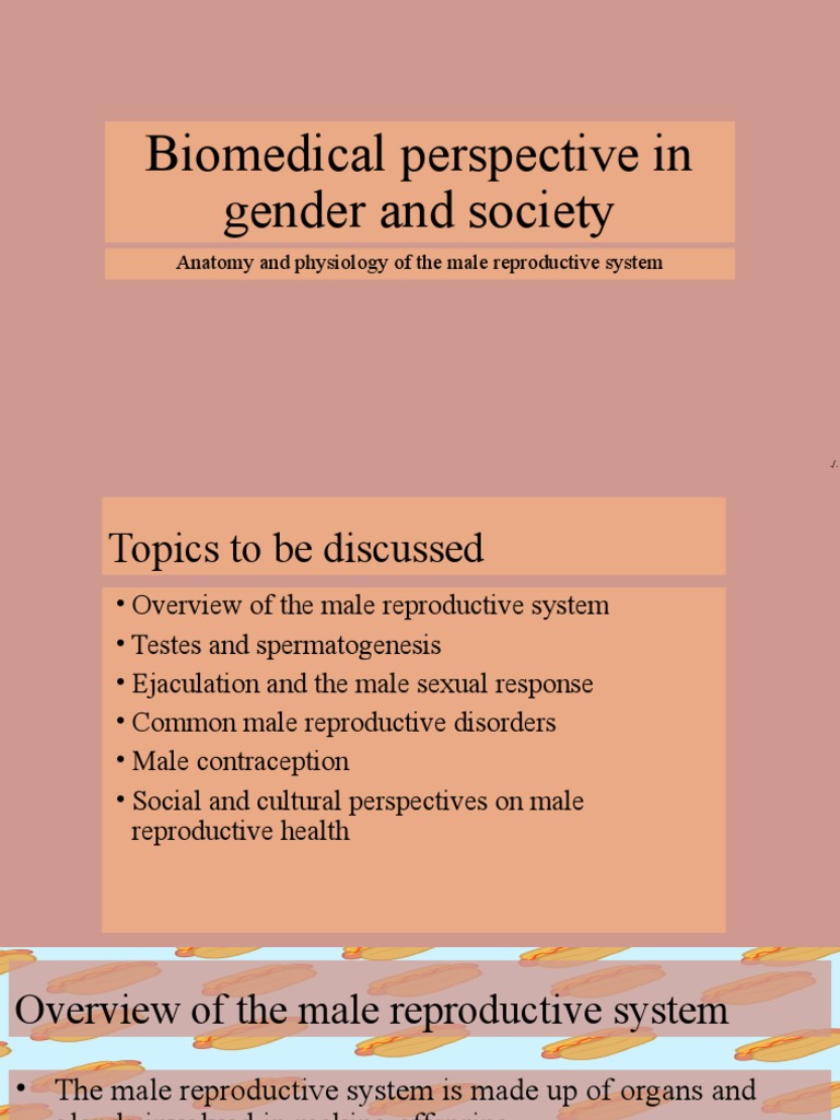 Biomedical Perspective in Gender and Society | PDF | Birth Control ...