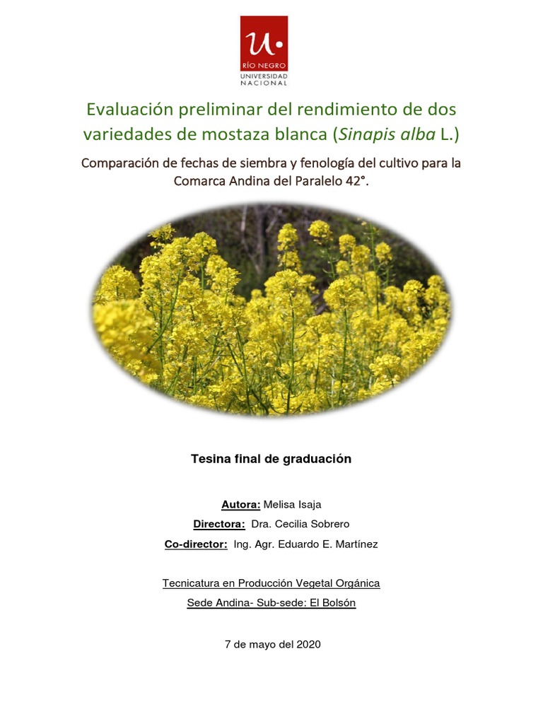 TESINA FINAL Eval. Preliminar Del Rendimiento MOSTAZA ISAJA | PDF ...