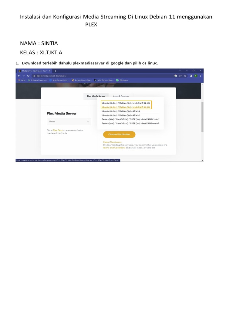Panduan Plex di Debian 11 | PDF