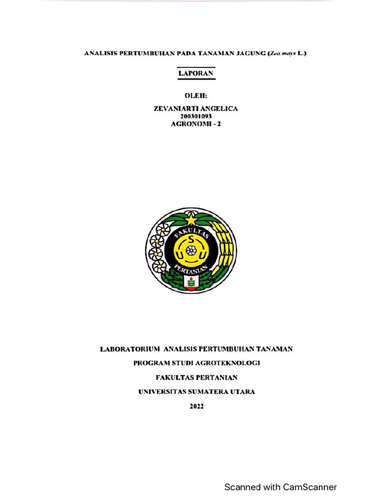 Contoh Laporan | PDF