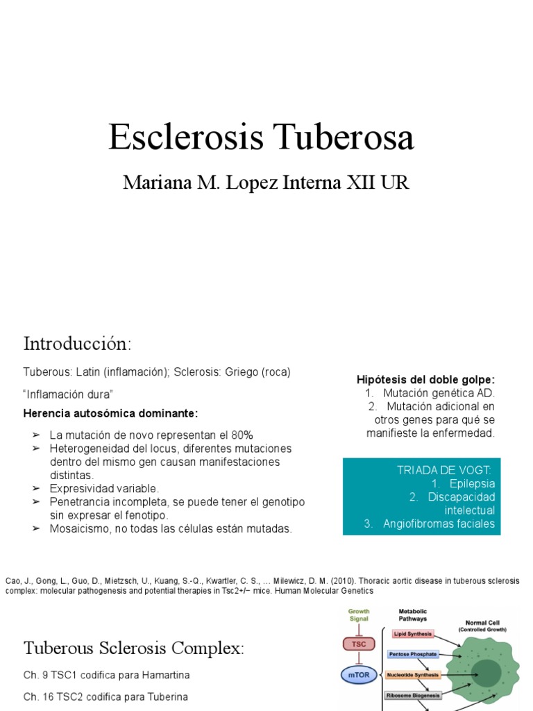 Esclerosis Tuberosa | Descargar gratis PDF | Medicina CLINICA | Genética