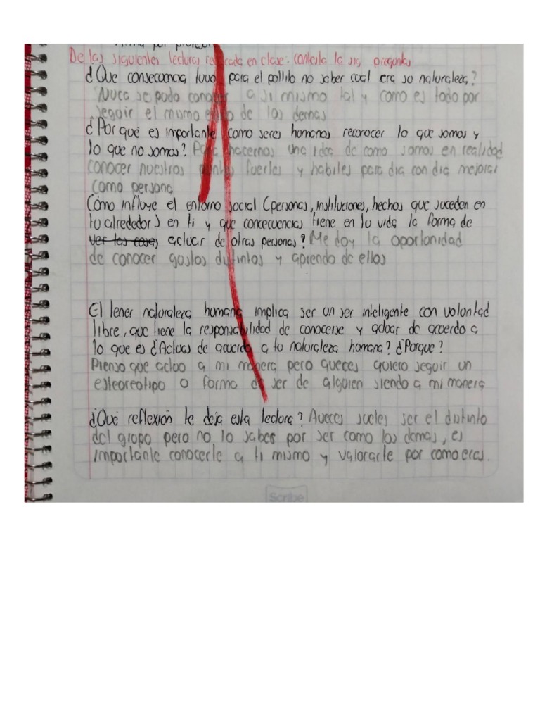 EC1 El Pato Pollo | PDF