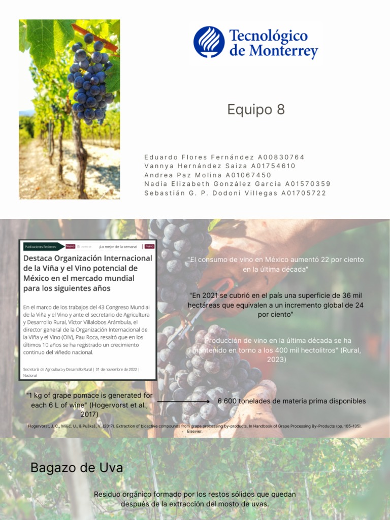 Diagramas de Proceso - Equipo 8 | PDF | Vino | Alimentos