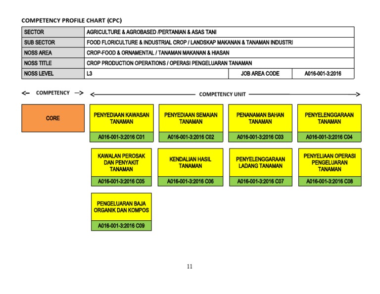Competency Profile Chart (CPC) - Format | PDF