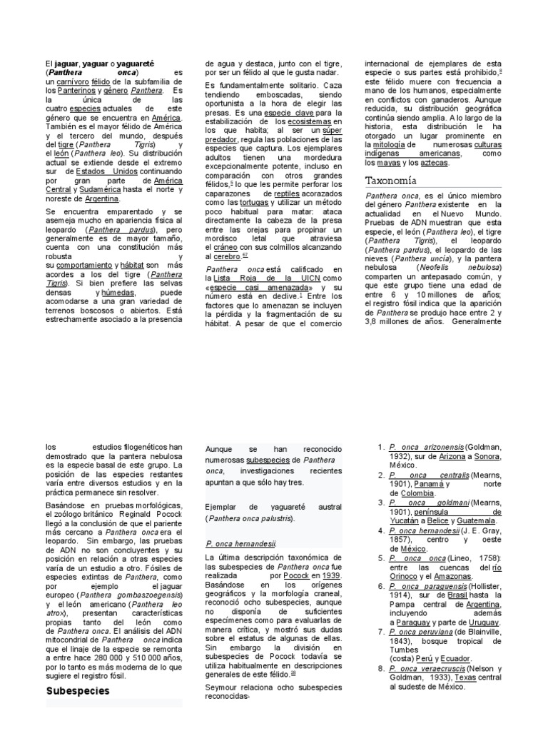 El Jaguar | PDF | Jaguar | Panthera